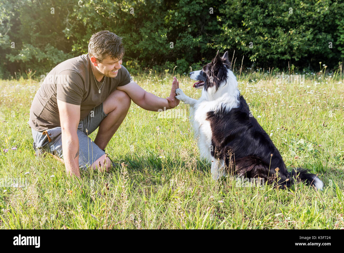 High five with the cute Border Collie and young man outdoors Stock ...
