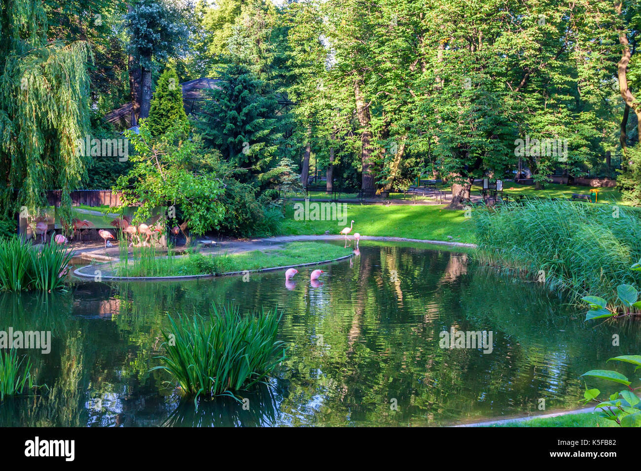 Warsawzoo hi-res stock photography and images - Alamy