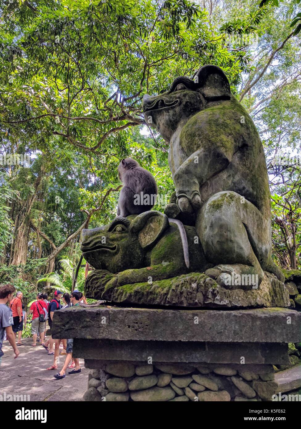 monkeys in bali countryside during the day at the ubut monkey forest ...