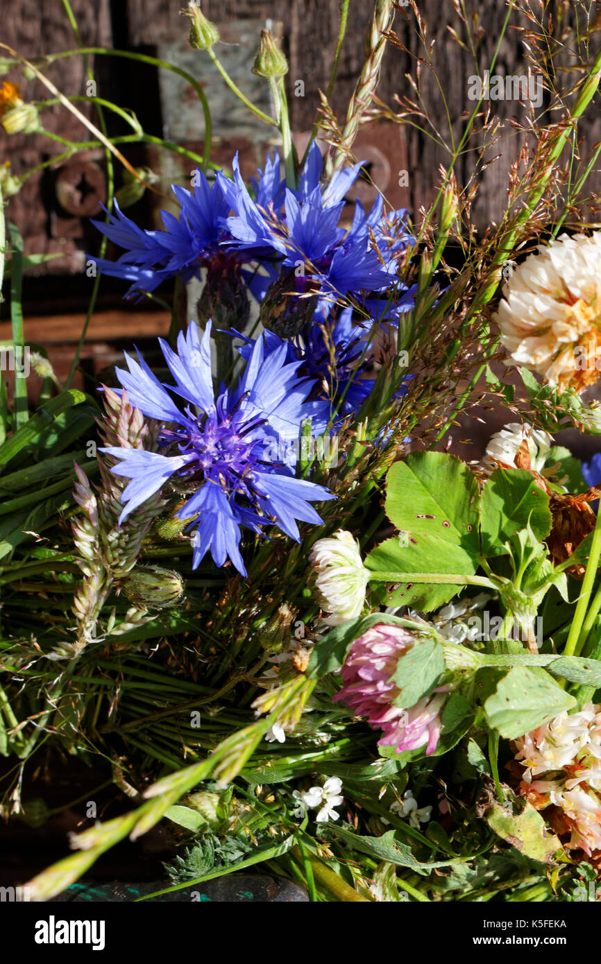 Midsummer bouquet hi-res stock photography and images - Alamy