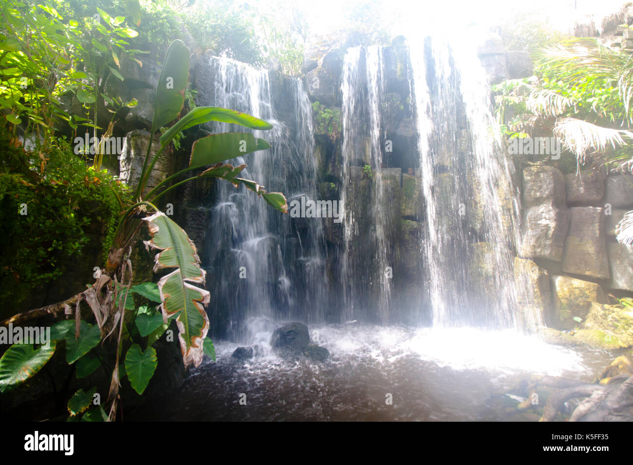 Beautiful waterfall in green tropical forest in jungle Stock Photo - Alamy