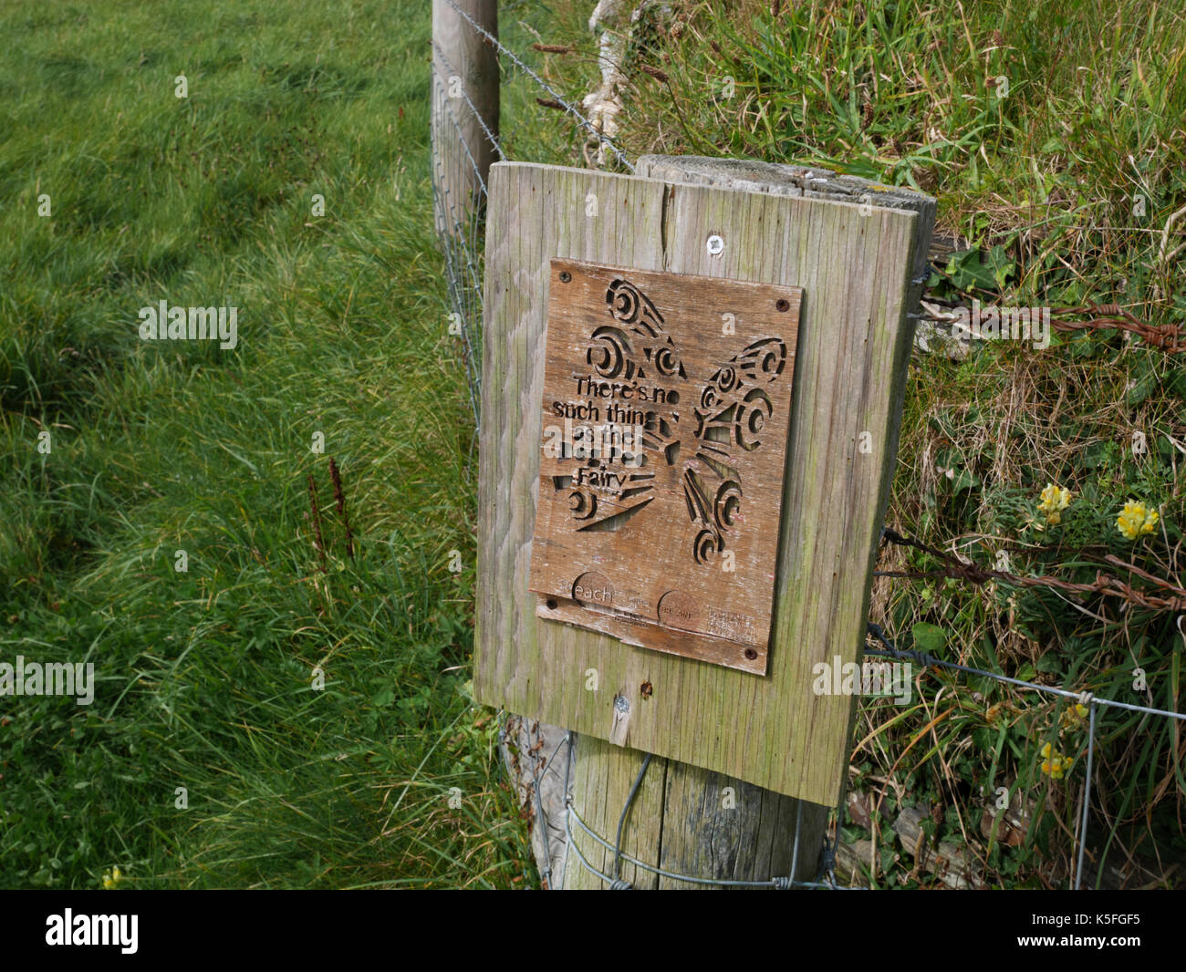 Poo fairy hi-res stock photography and images - Alamy