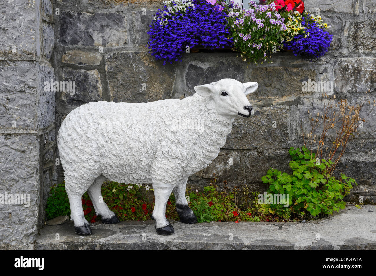 Model sheep outside shop selling Aran sweaters in Kilronan on Inishmore ...