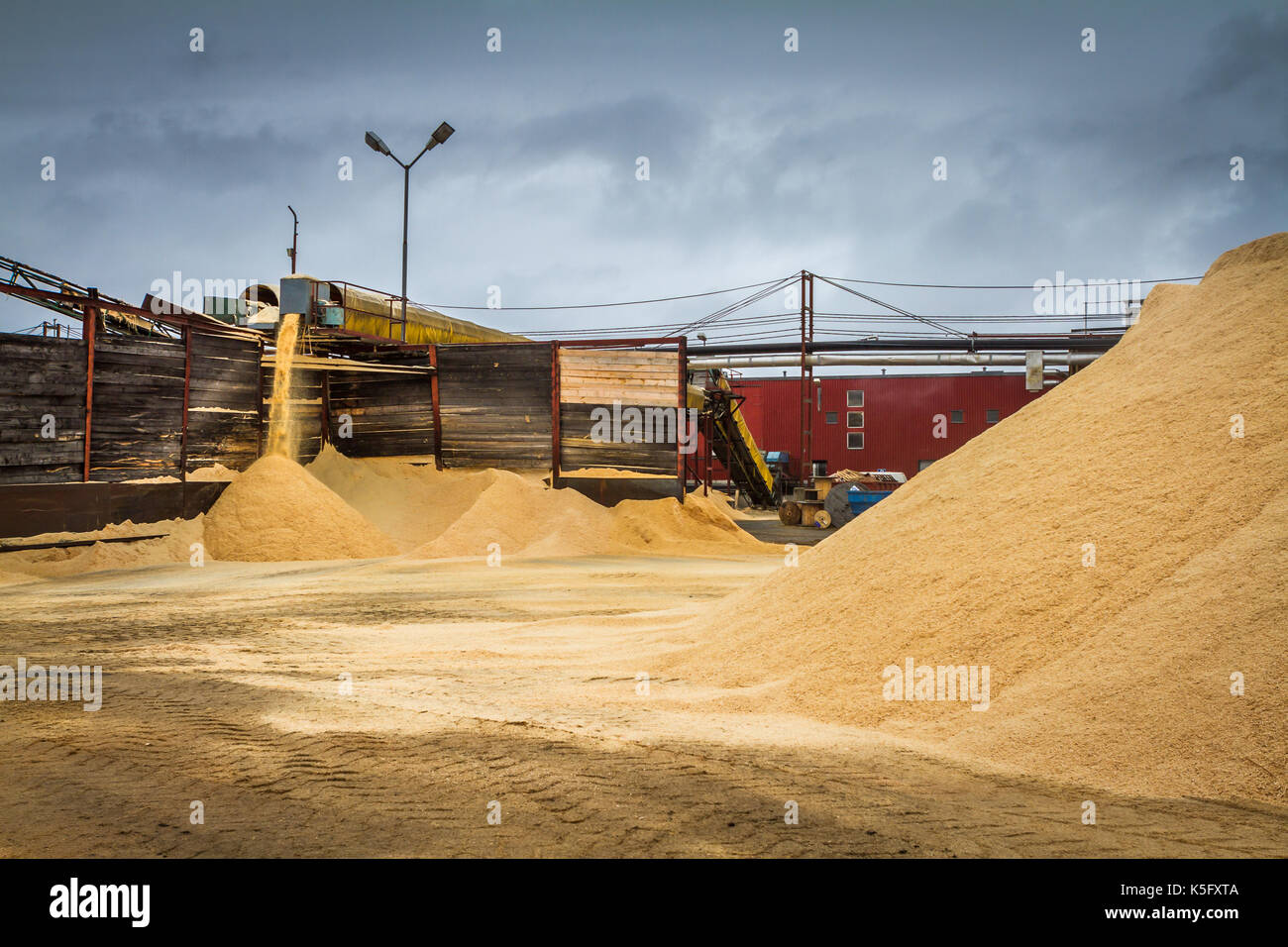 Forestry, Norrskog, Krokom Sverige Stock Photo - Alamy