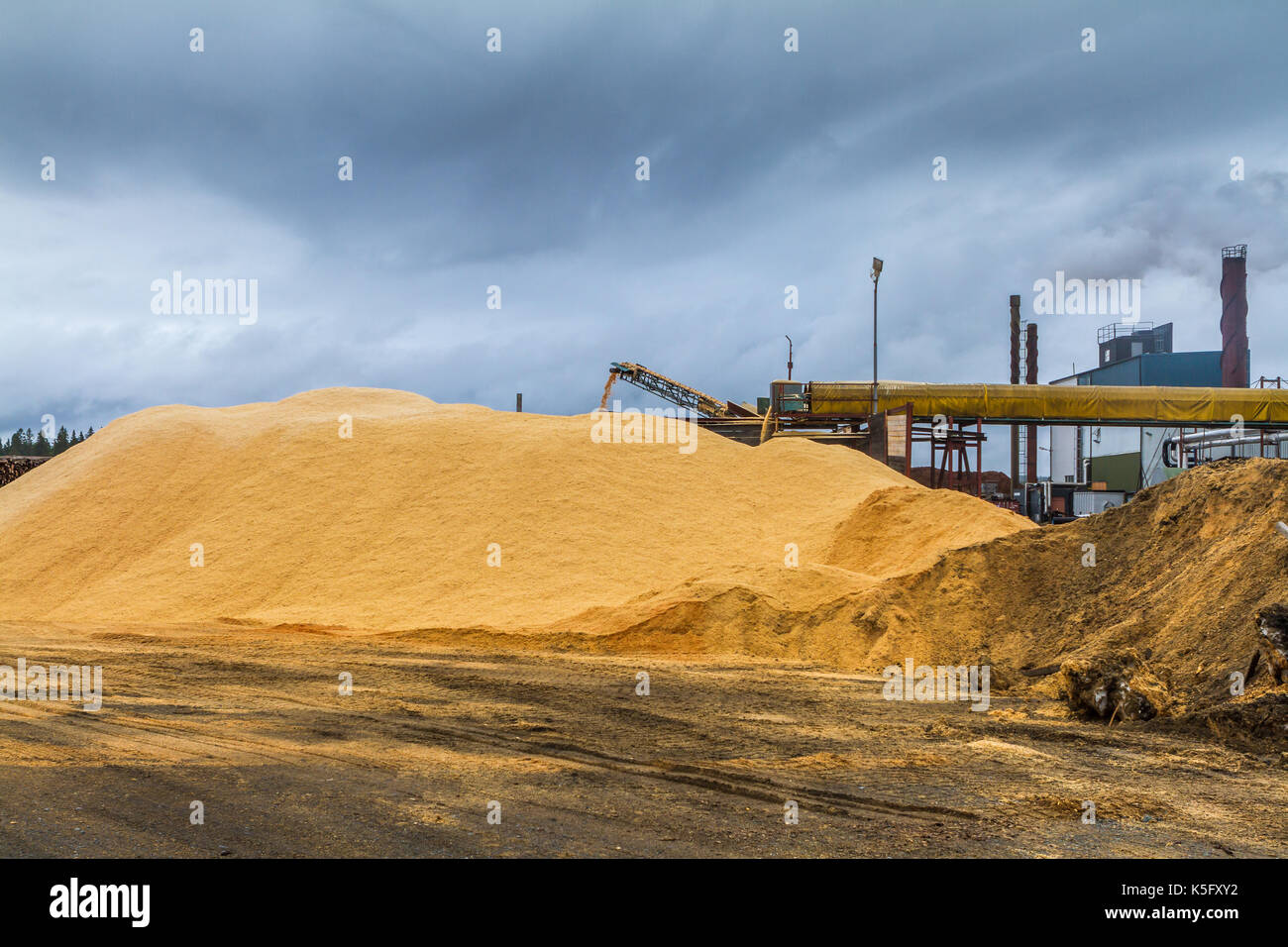 Forestry, Norrskog, Krokom Sverige Stock Photo - Alamy