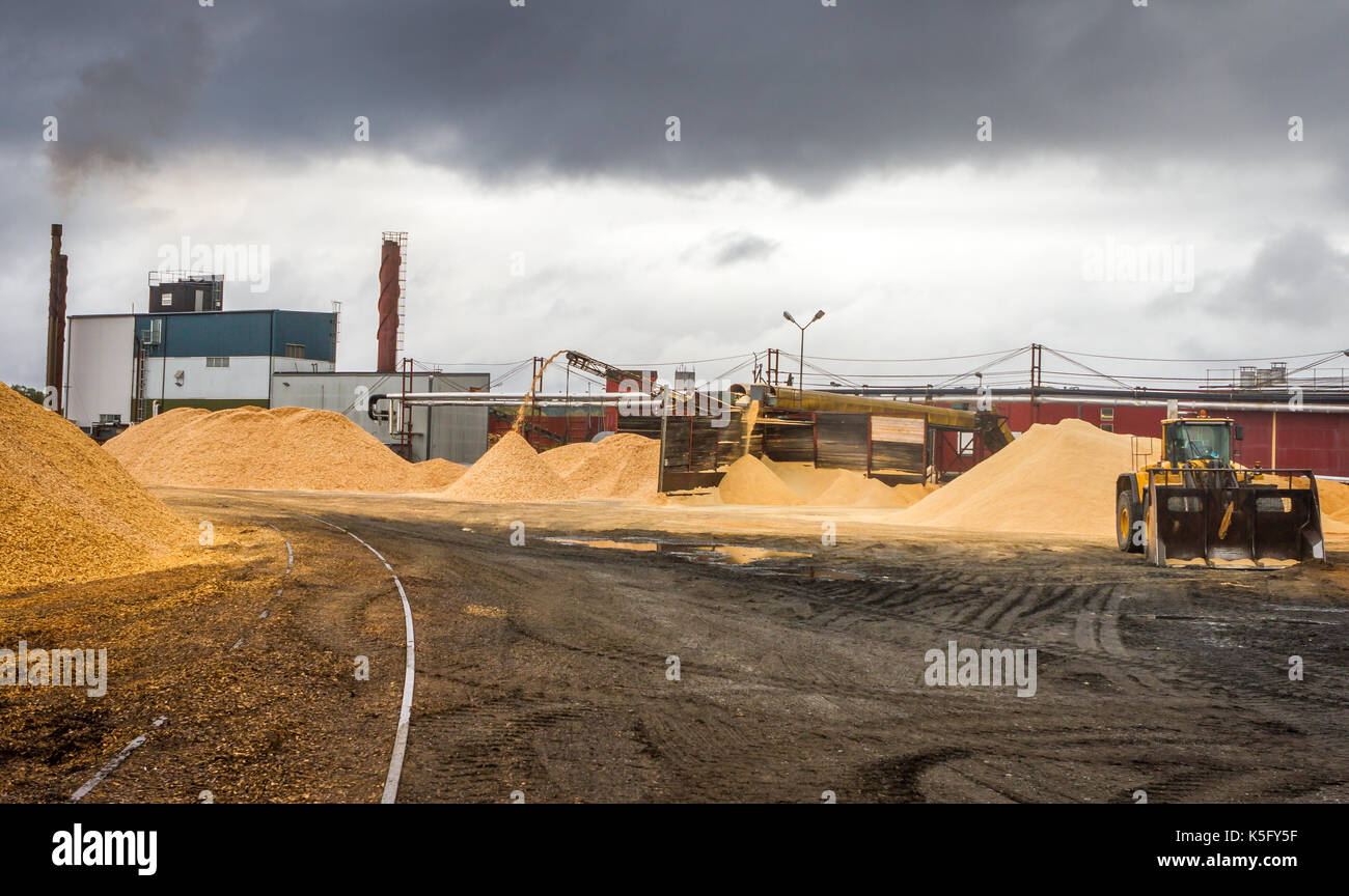 Forestry, Norrskog, Krokom Sverige Stock Photo - Alamy