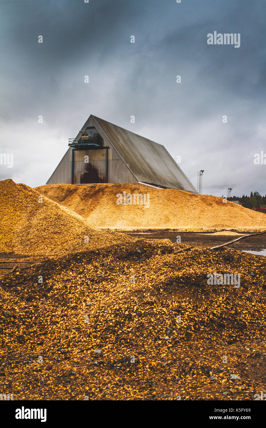 Forestry, Norrskog, Krokom Sverige Stock Photo - Alamy