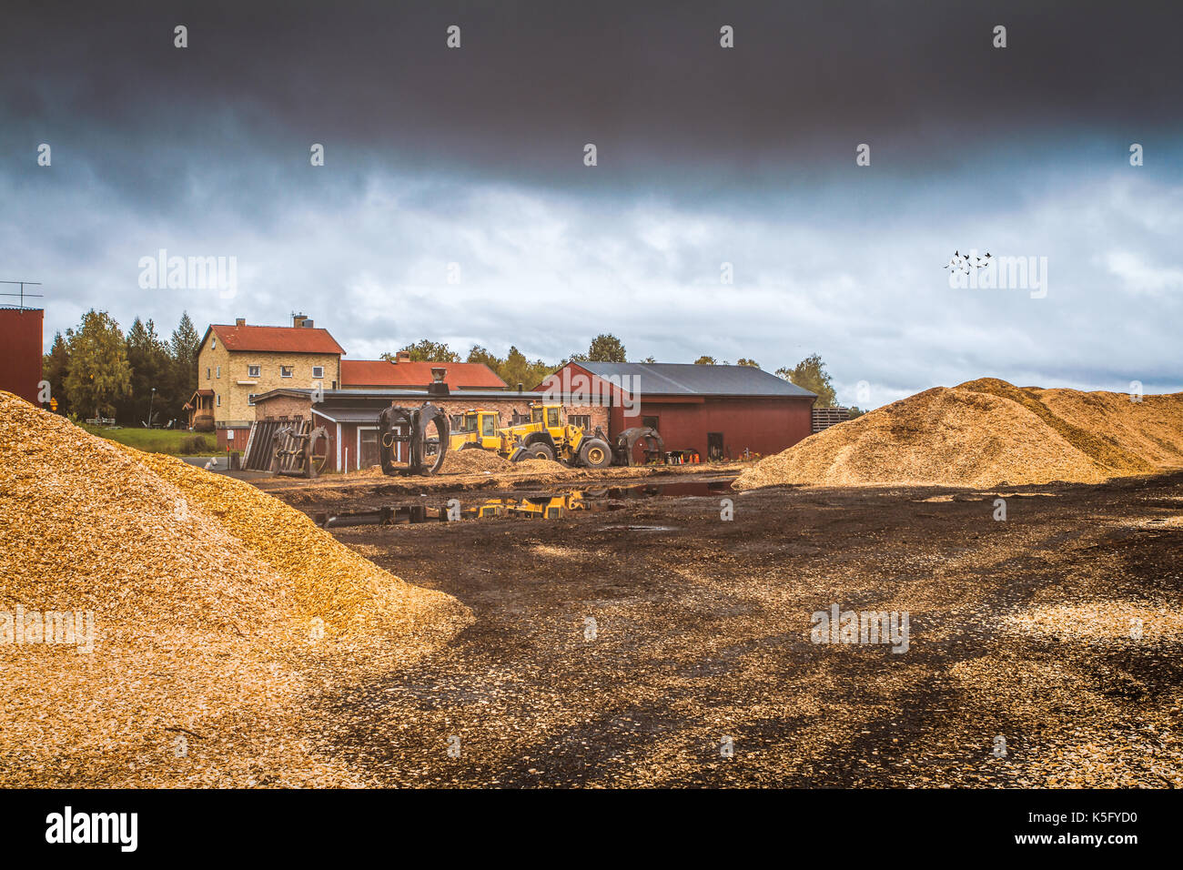 Norrskog hi-res stock photography and images - Alamy
