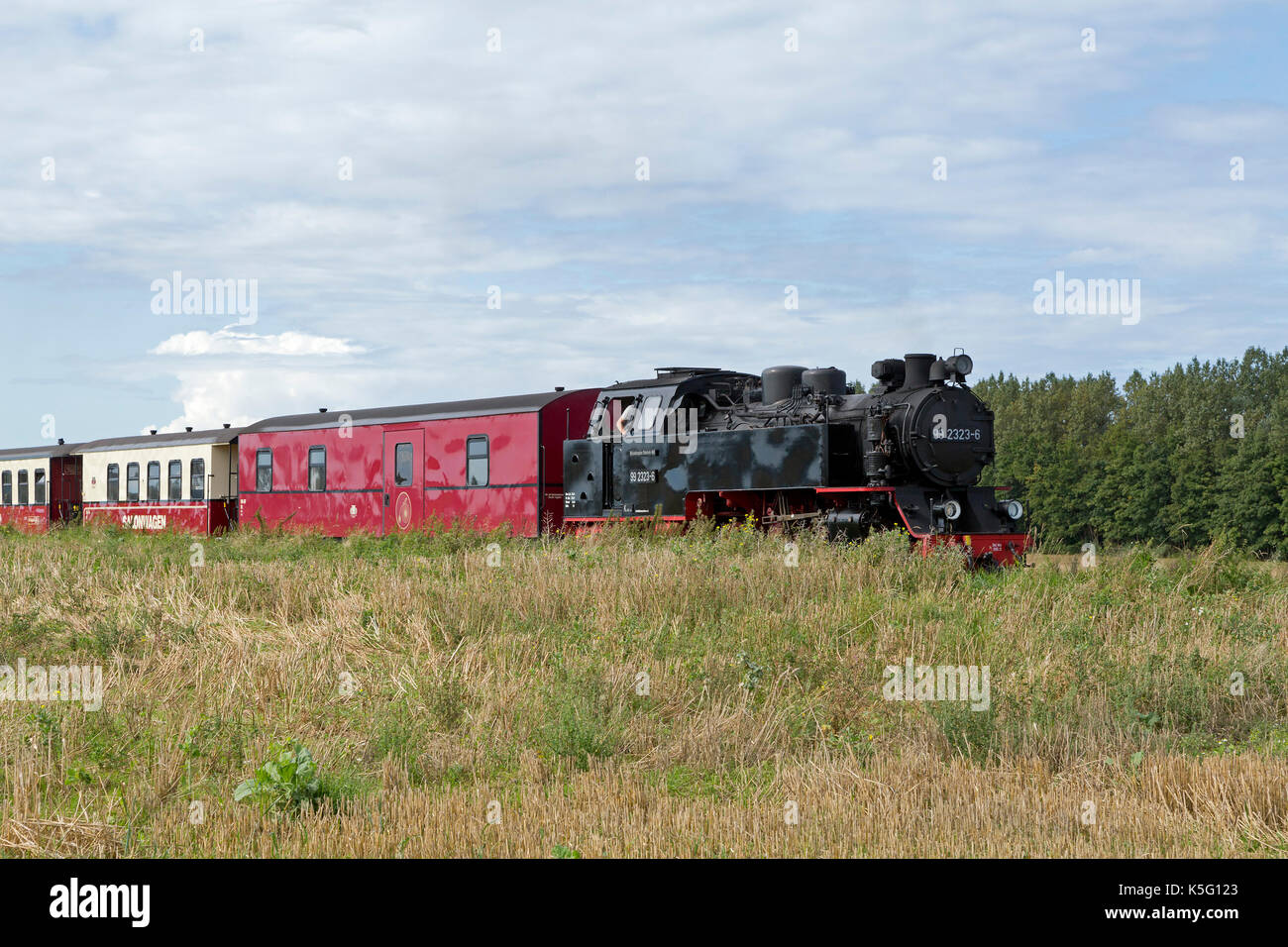 steam train Molli at Wittenbeck, Mecklenburg-West Pomerania, Germany ...