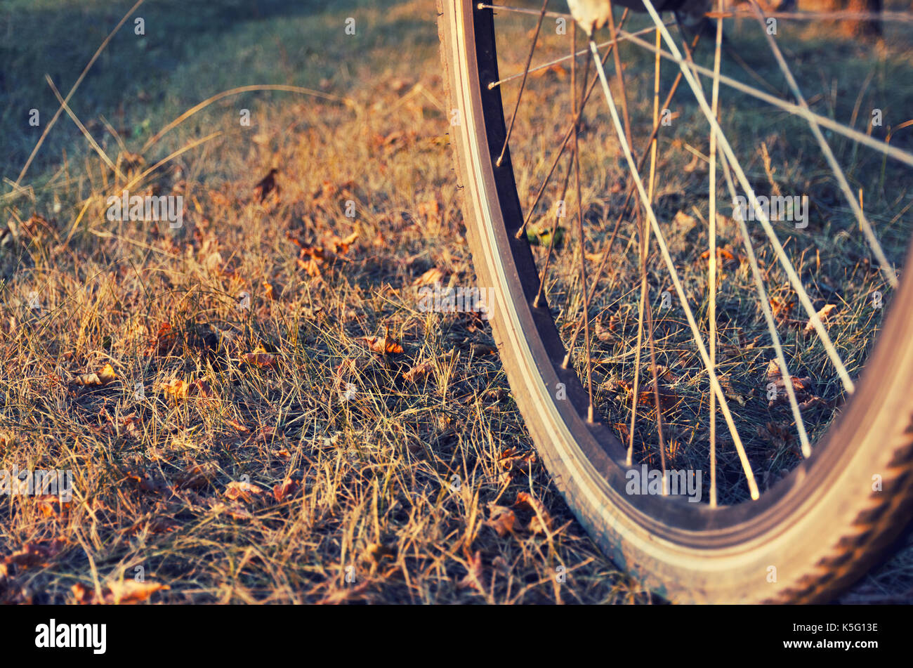 Close up of bicycle wheel and scenic hi-res stock photography and ...