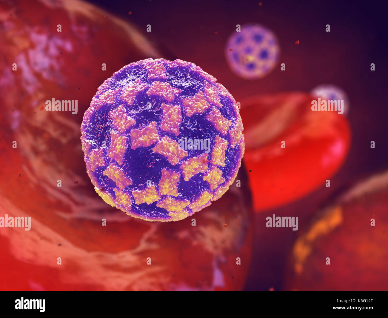Gastroenteritis hi-res stock photography and images - Alamy