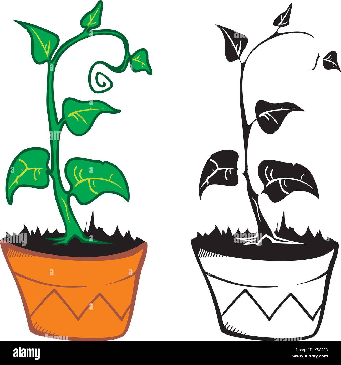 Horticulture plant Stock Vector Images - Alamy