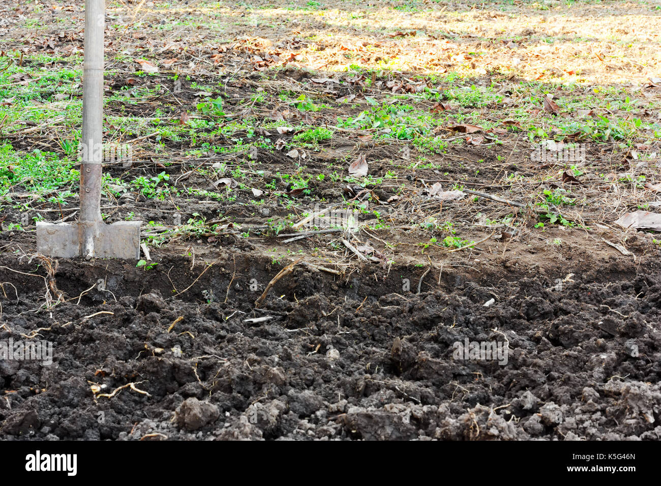 the bayonet spade dug into the ground. concept of land preparation for ...