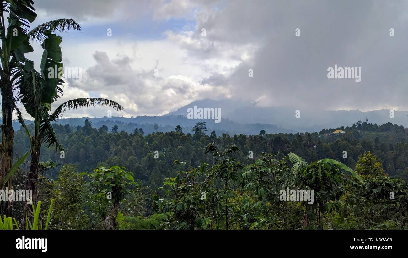 view of bali countryside during the day, indonesia Stock Photo - Alamy