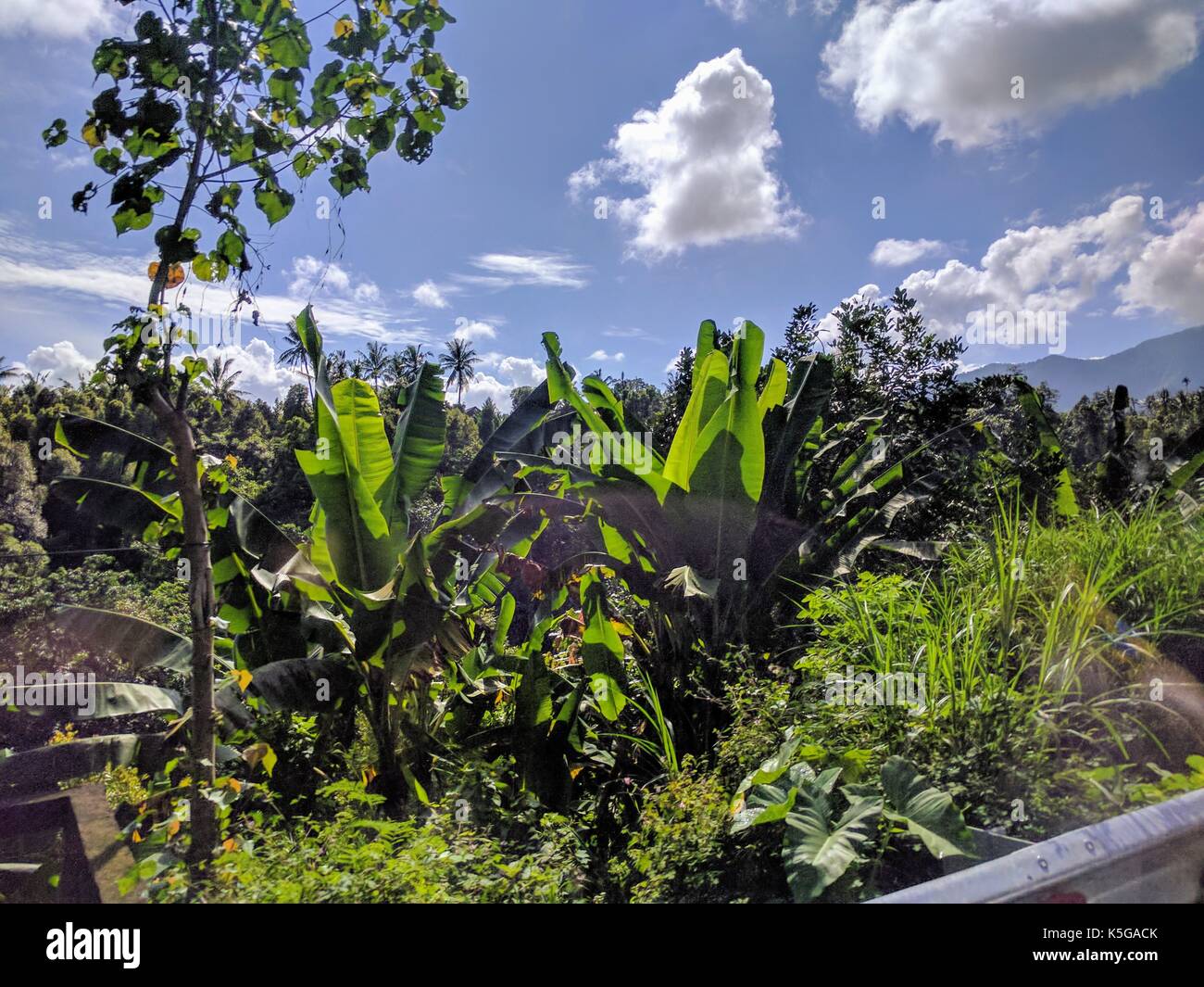 view of bali countryside during the day, indonesia Stock Photo - Alamy