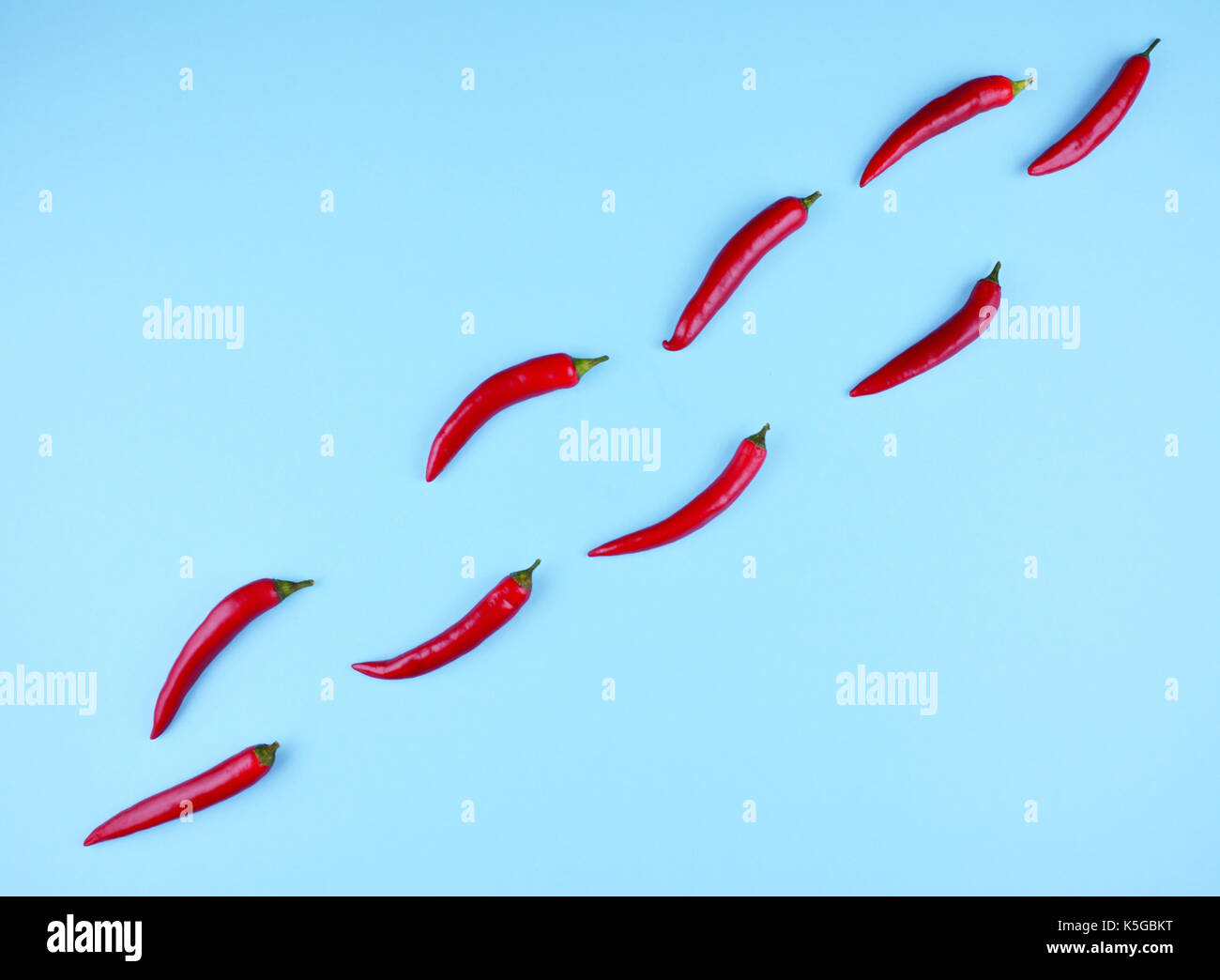 Red chilli papper on trendy blue background. Flat lay style. Colorful ...