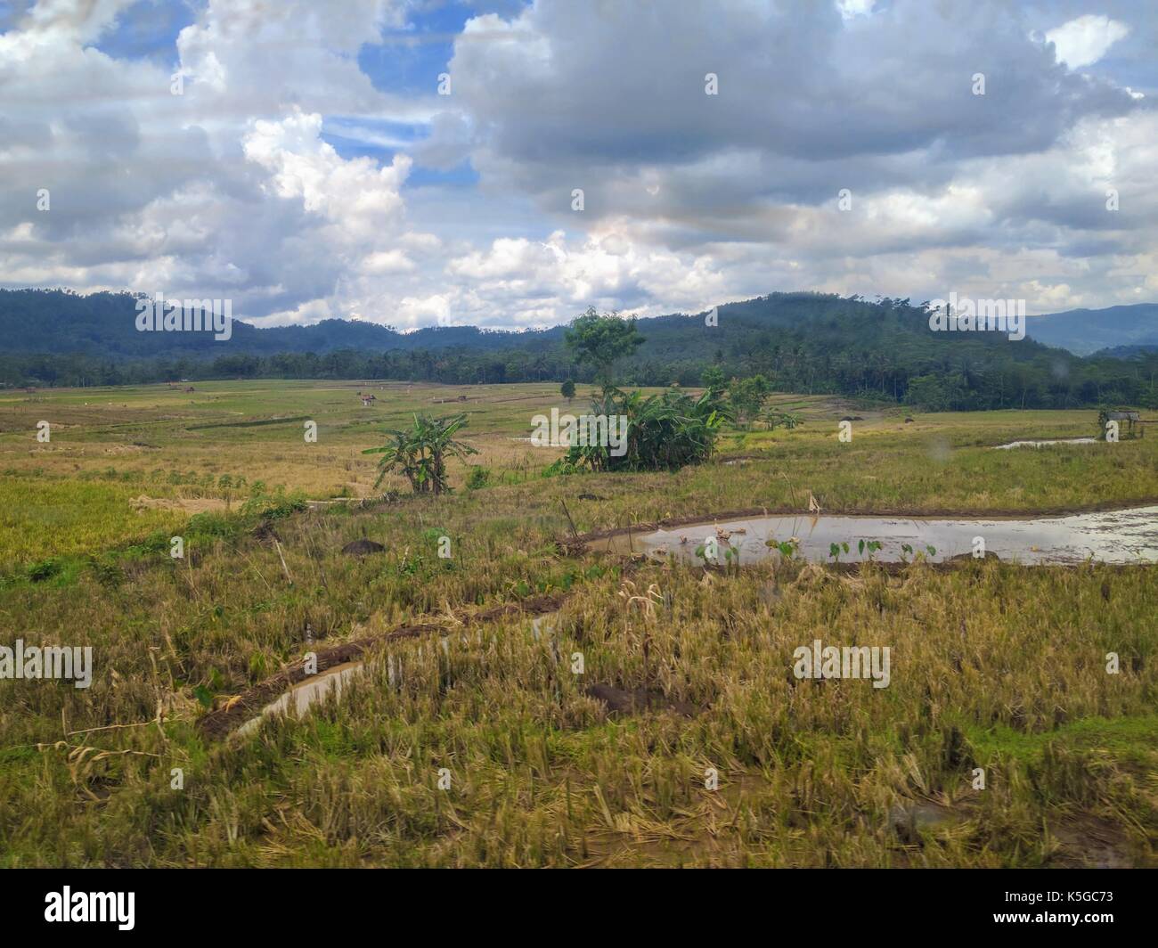 Java island coastline hi-res stock photography and images - Alamy