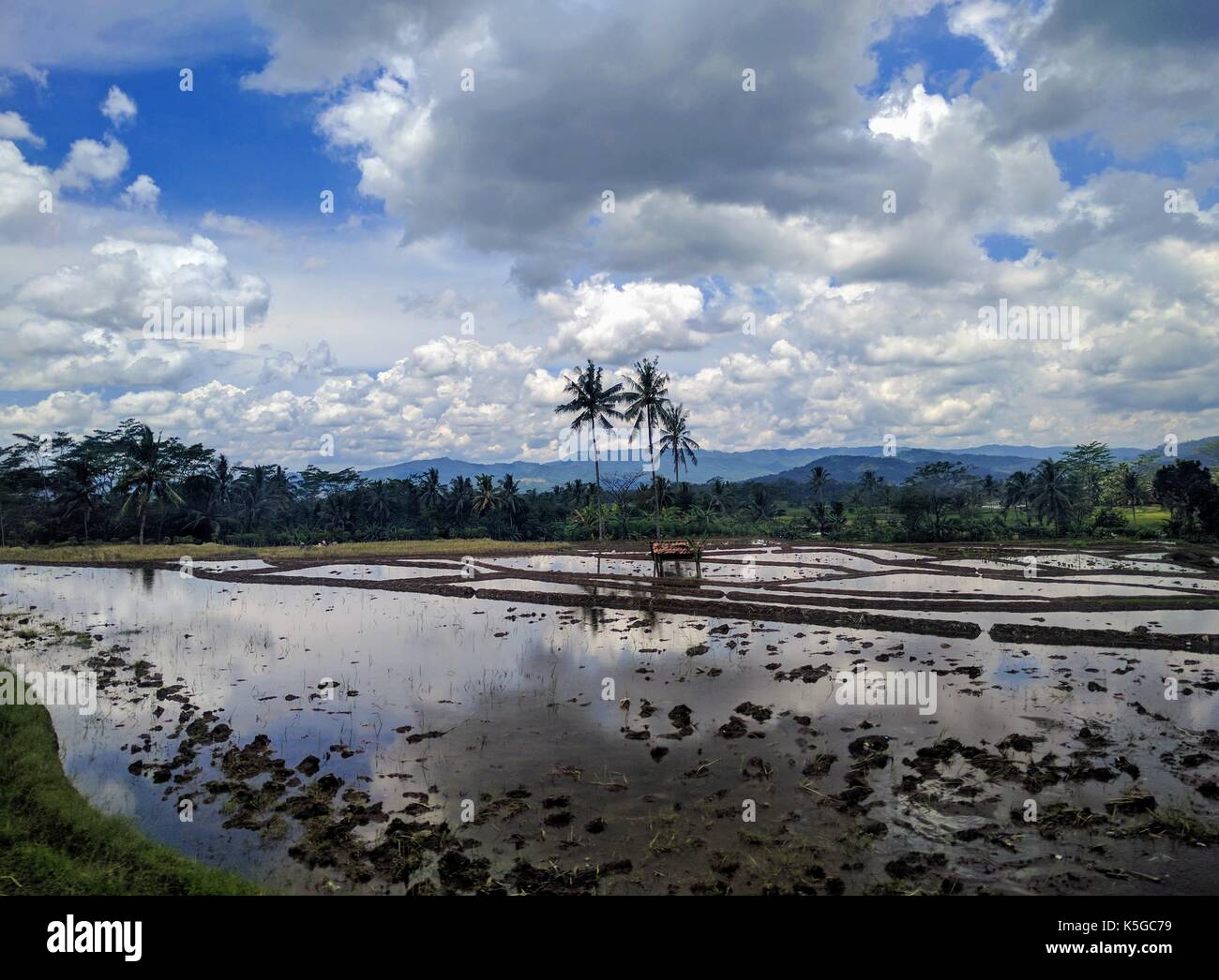 view of a java countryside, indonesia Stock Photo - Alamy