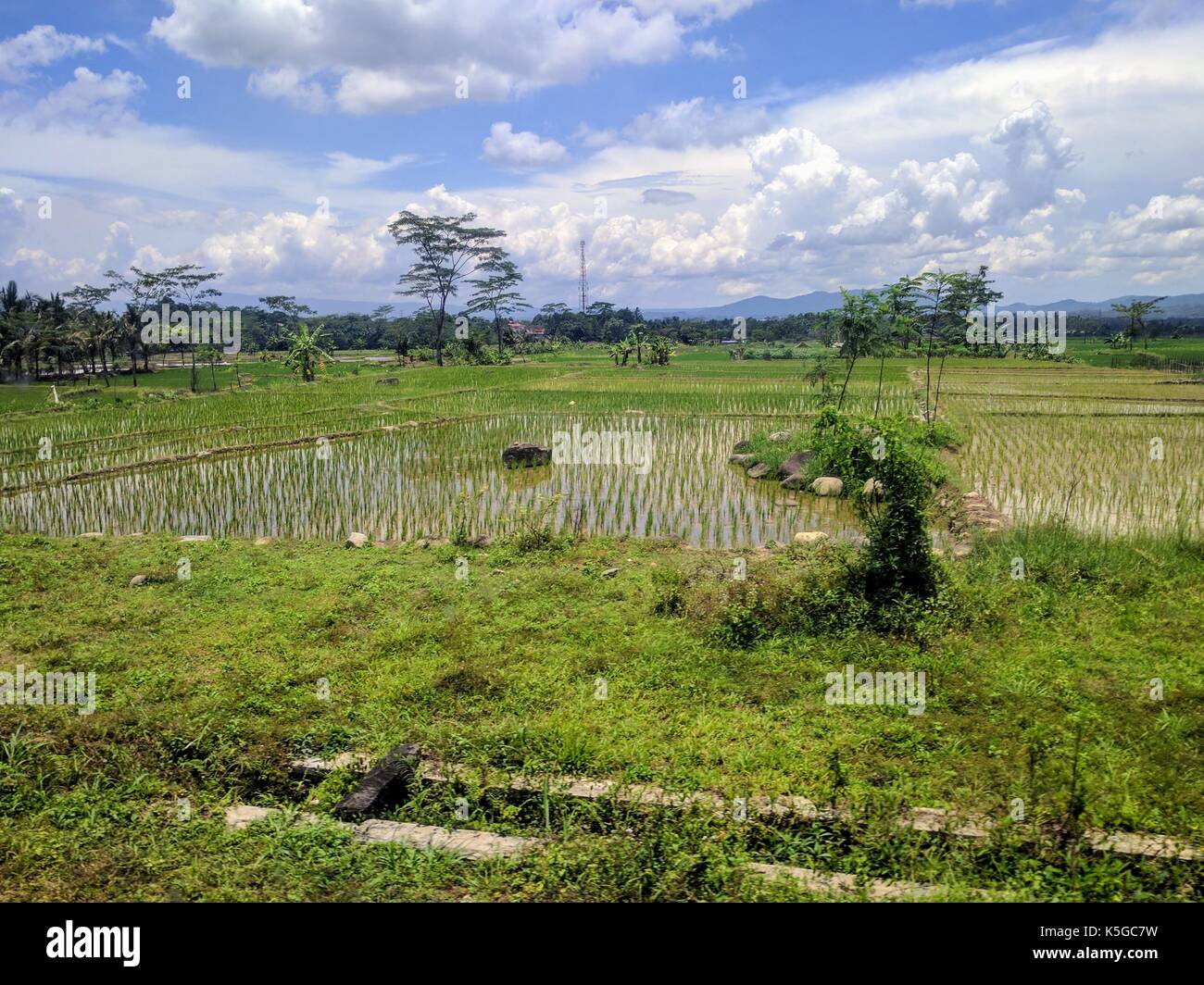 view of a java countryside, indonesia Stock Photo - Alamy
