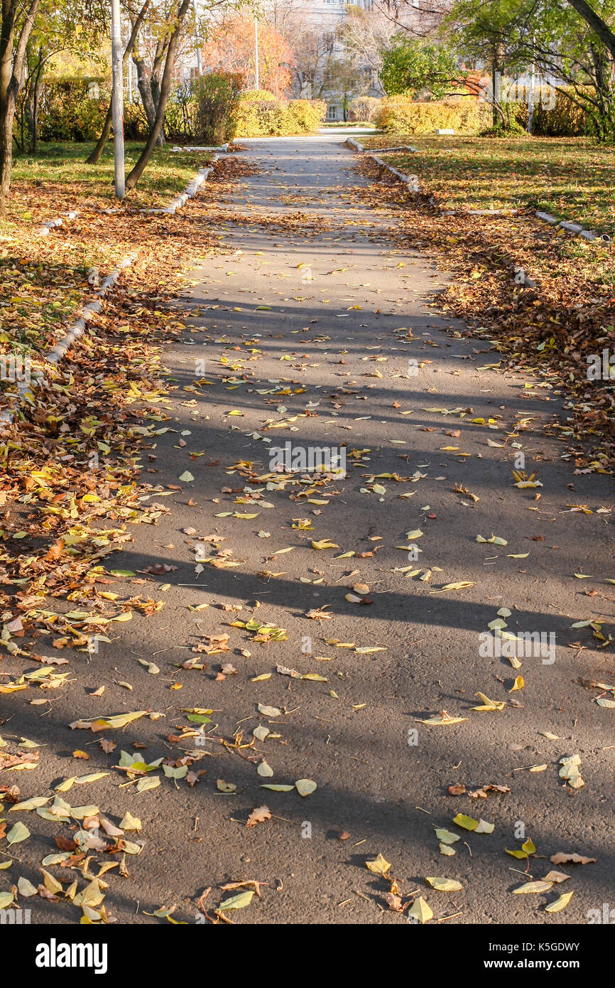 Falled hi-res stock photography and images - Alamy