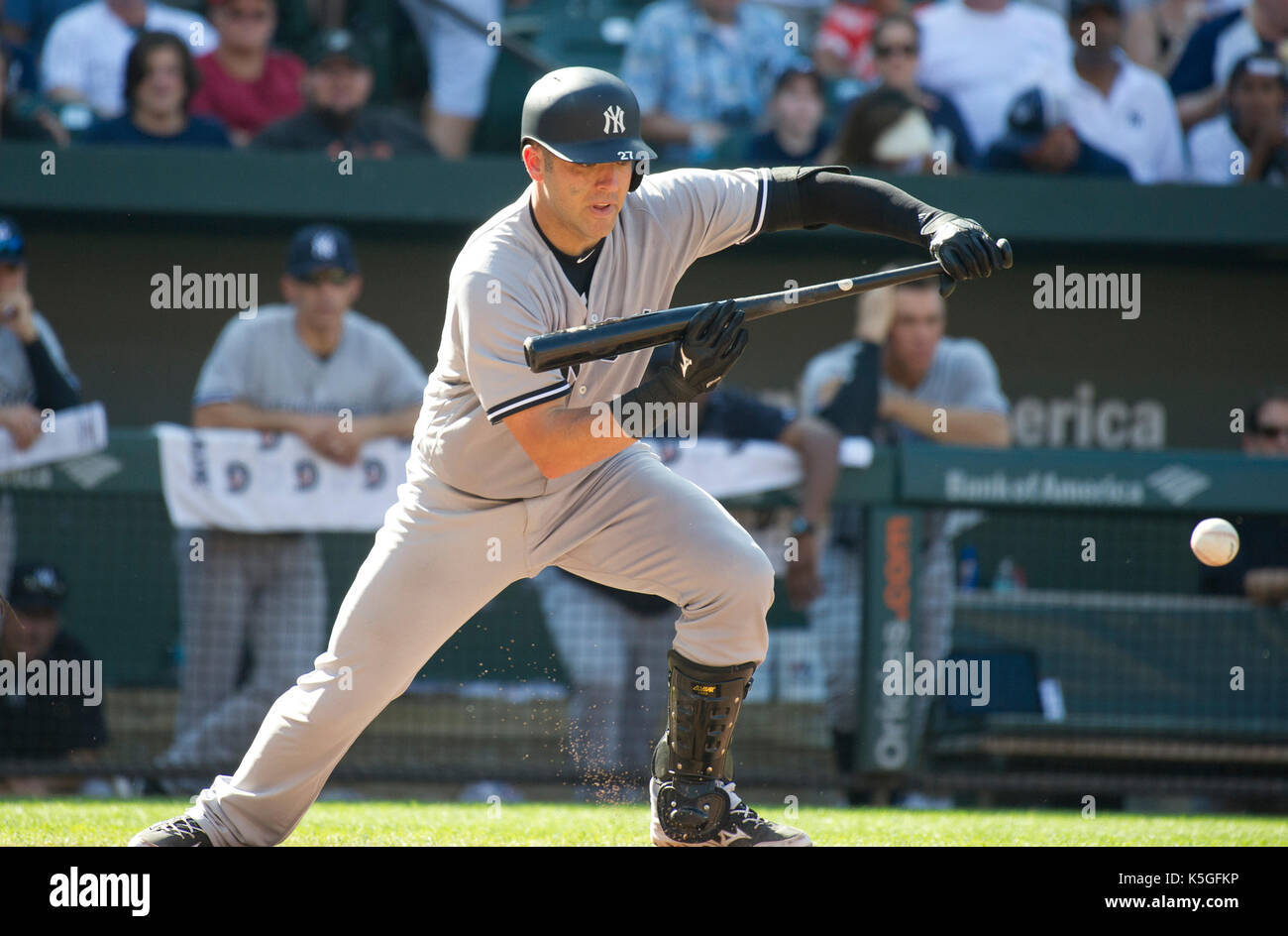New York Yankees catcher Austin Romine (27) lays down a sacrifice bunt ...