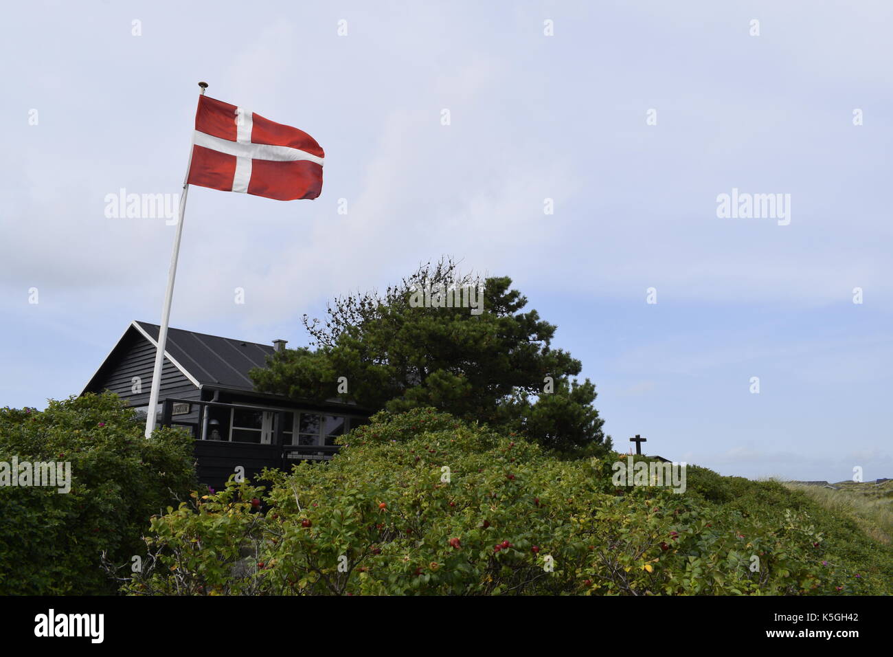 Henne Strand, Denmark. 16th Aug, 2017. The Danish flag (Danish ...