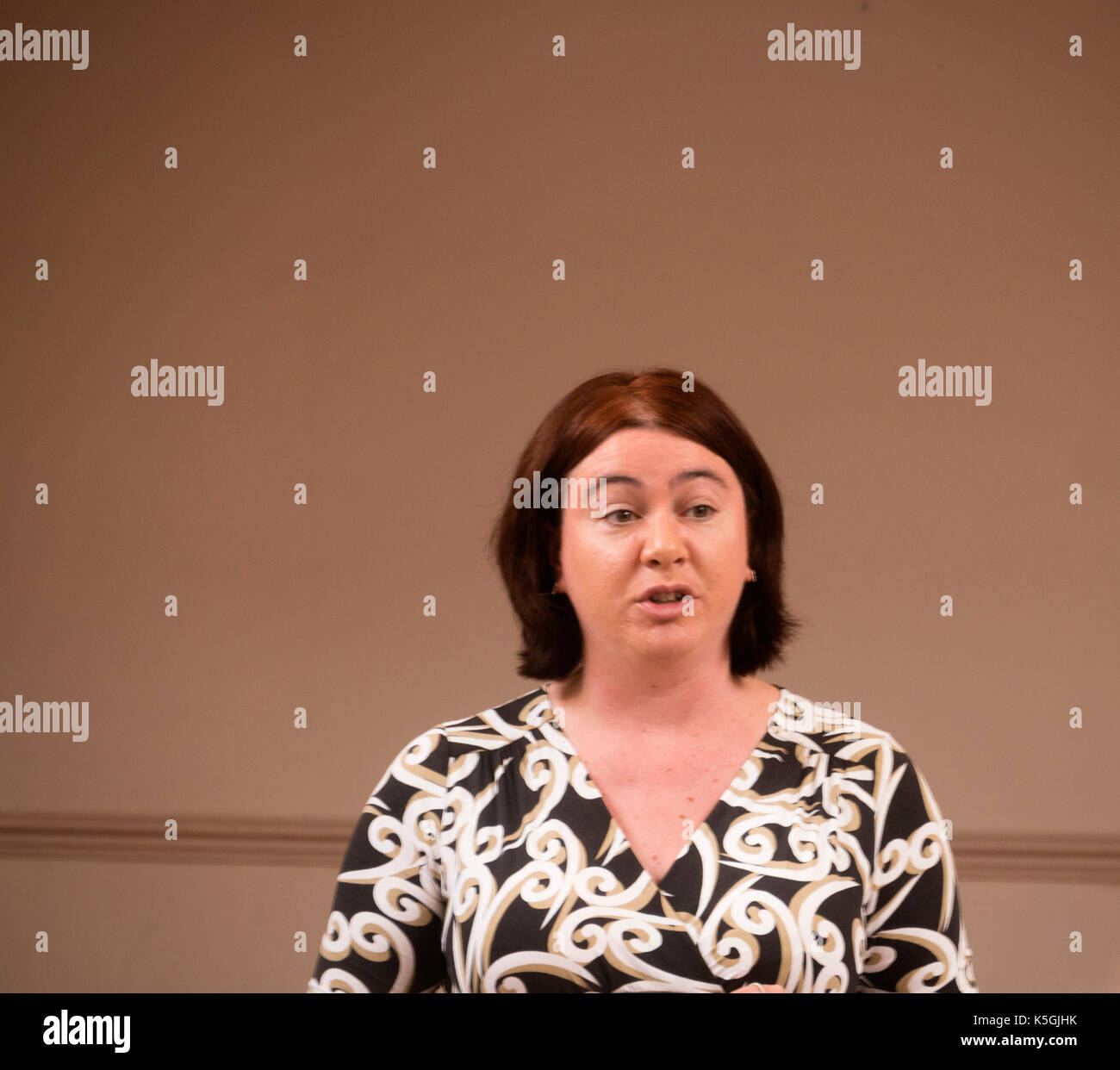 Witham, Essex, UK. 09th Sep, 2017. 9th September 2017 Alex Mayer Labour ...