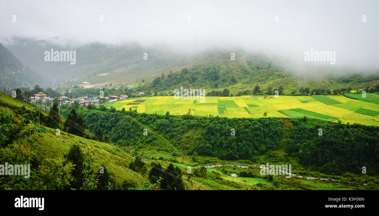 Terraced rice field in Bhutan. Bhutan is a small country in the ...