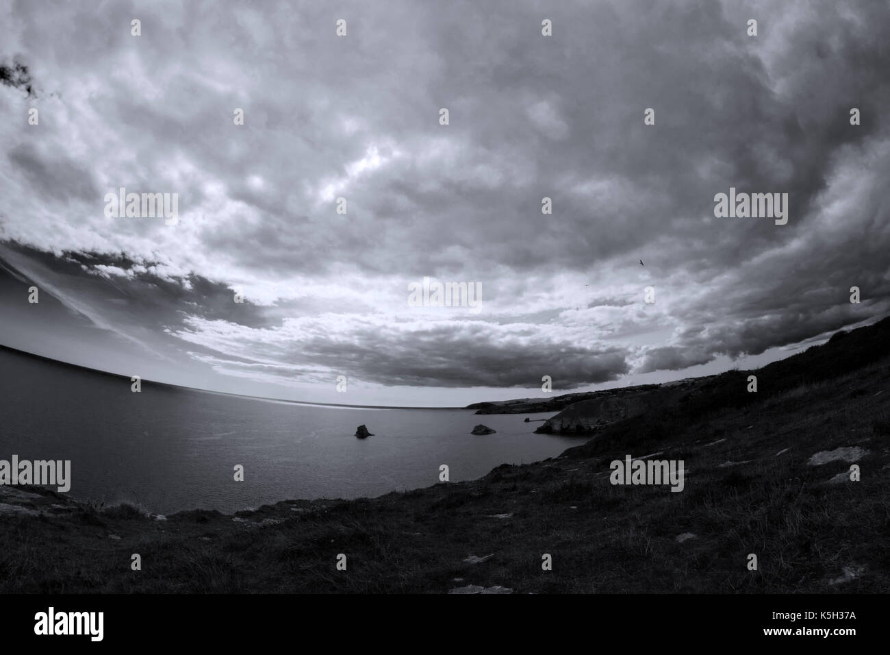 South Devon Coast Stock Photo - Alamy