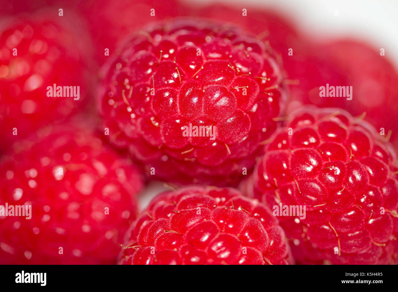 Five raspberries hi-res stock photography and images - Alamy