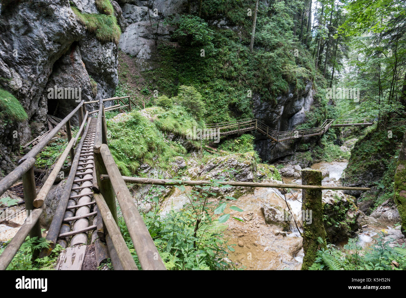 Wooden ladders hi-res stock photography and images - Alamy