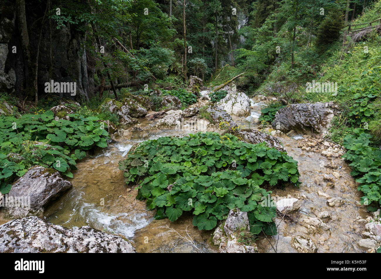 Pretty mountain hi-res stock photography and images - Alamy