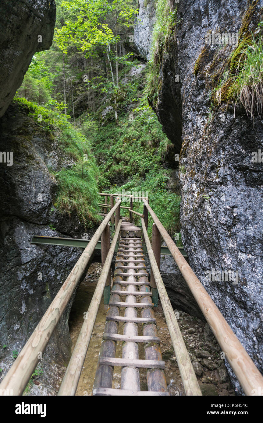Vertical shot beautiful bridge hi-res stock photography and images - Alamy