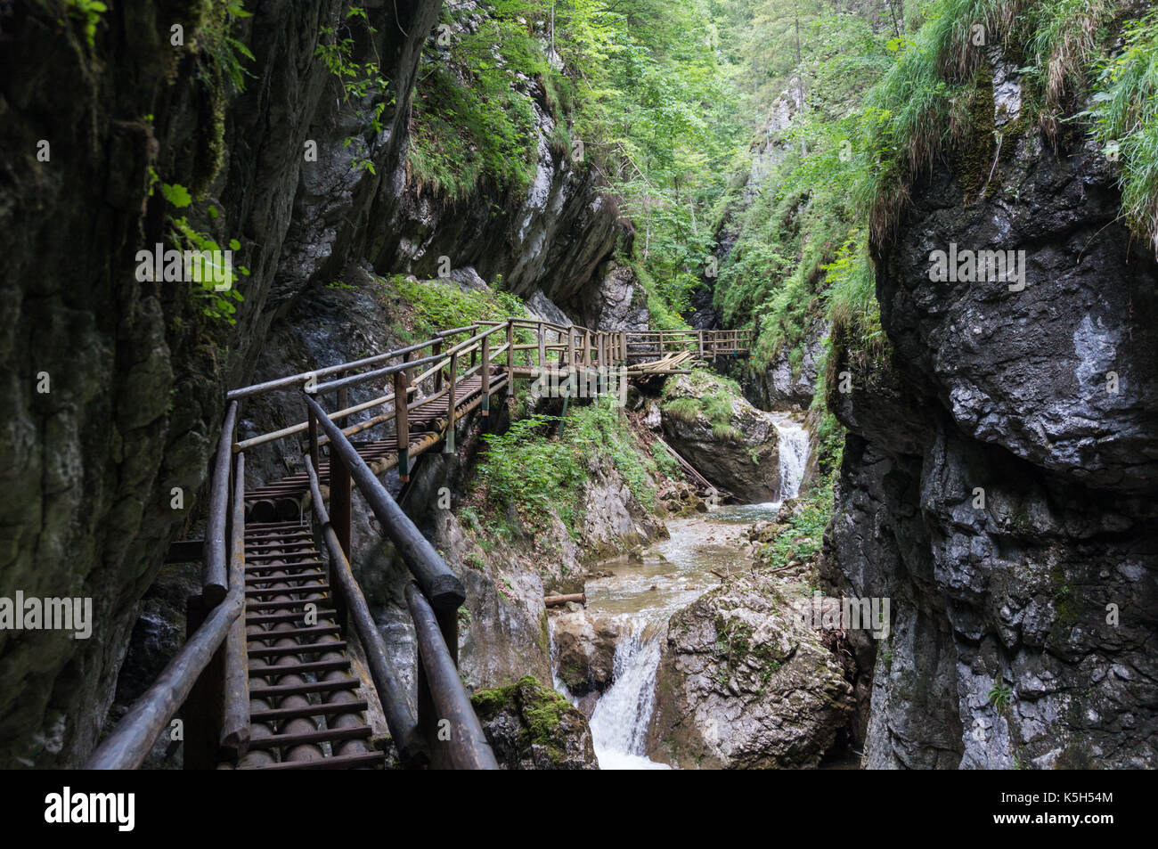 Wooden path running along the cliff and over the river gorge Stock ...