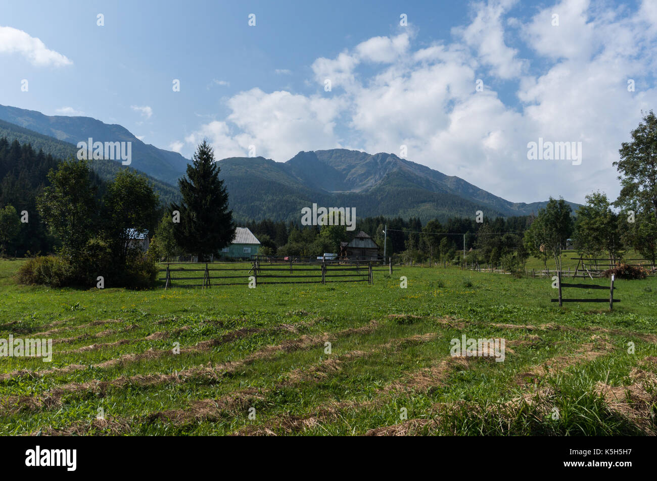Maramures romania borsa hi-res stock photography and images - Alamy