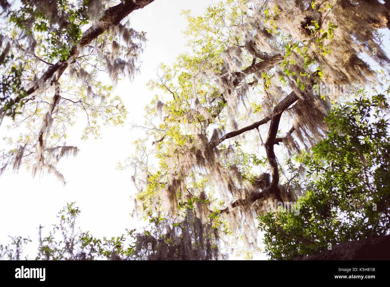 Spanish fort alabama hi-res stock photography and images - Alamy