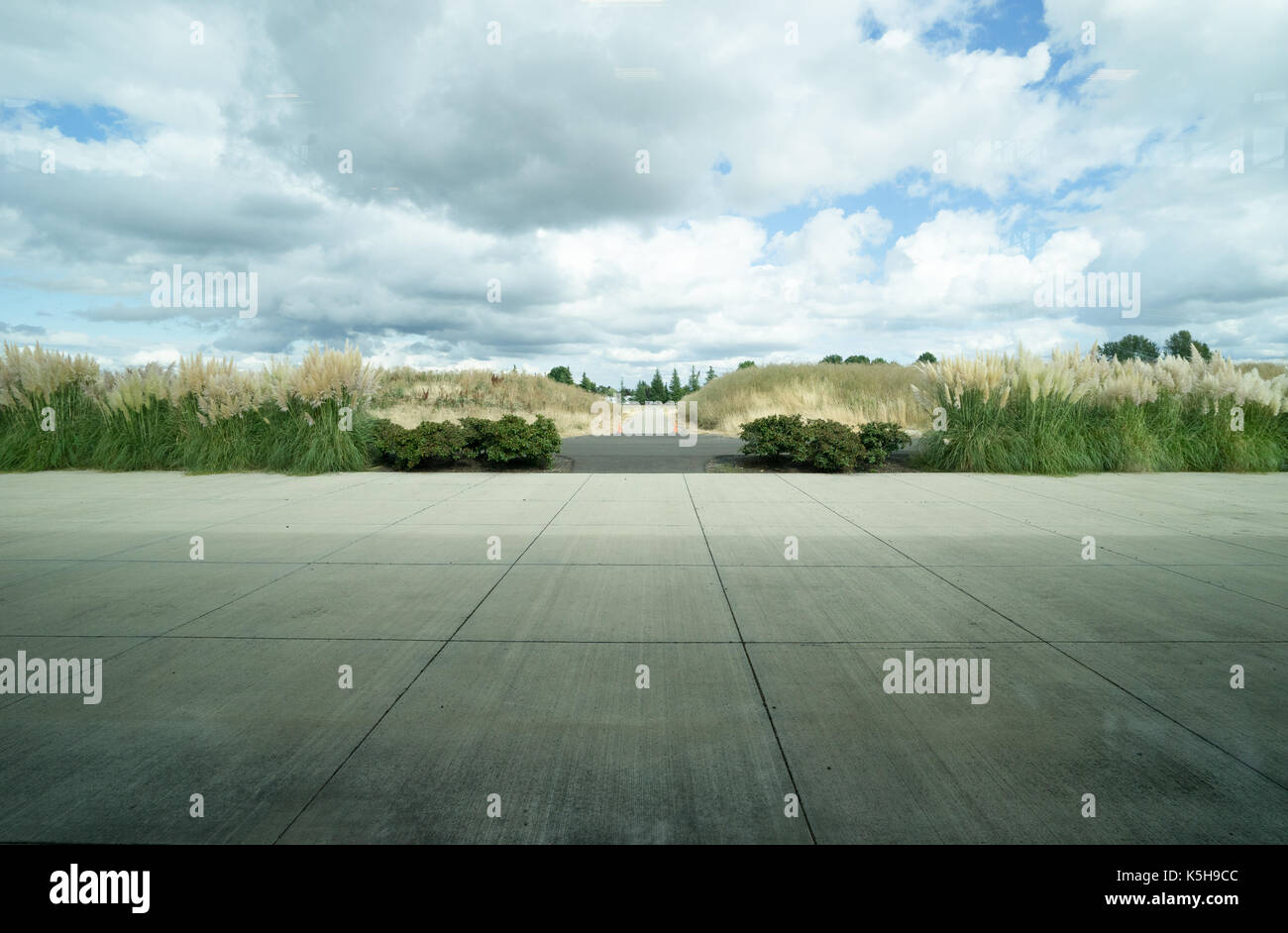 Cement path through tall grass field Stock Photo - Alamy