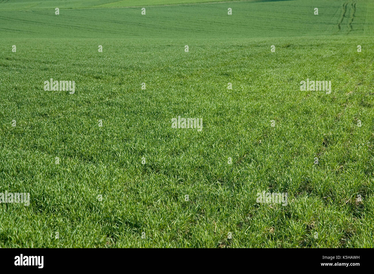 Landscape family in hilly hi-res stock photography and images - Alamy