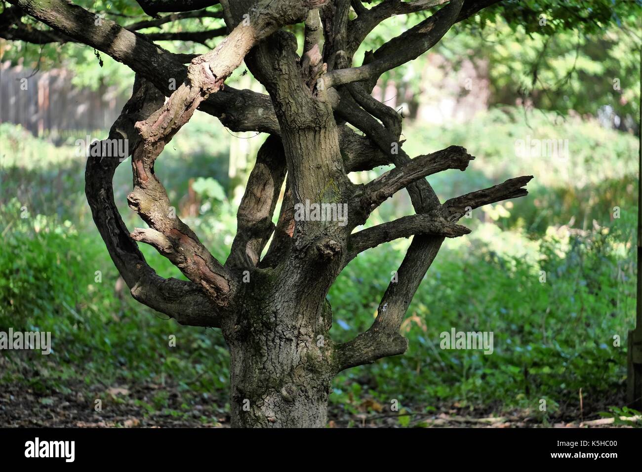 Buhsy park hi-res stock photography and images - Alamy