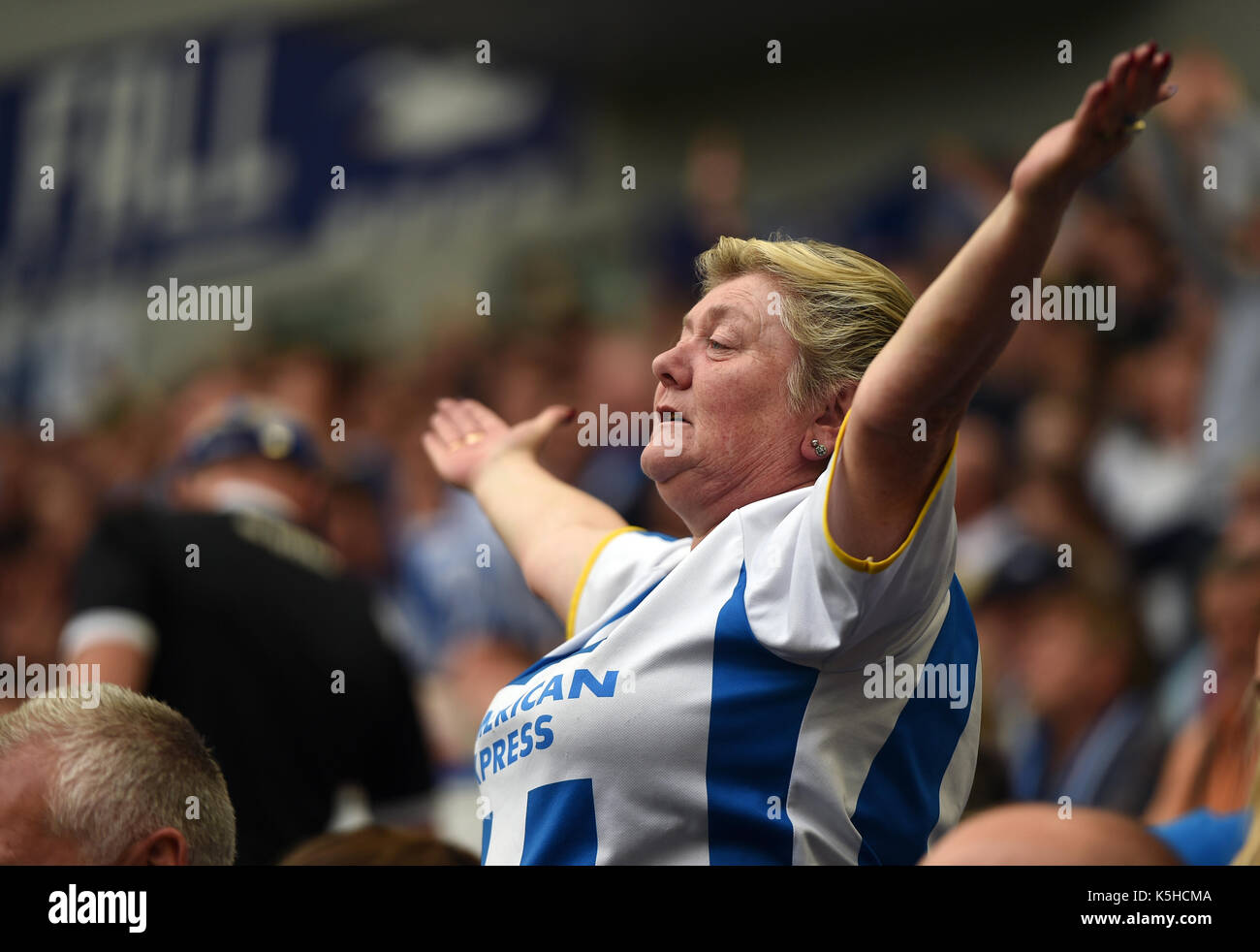 Brighton & Hove Albion fan in the stands during the Premier League ...