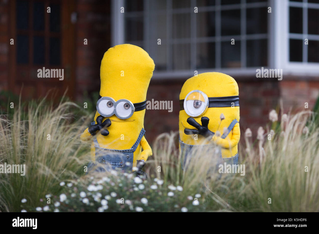 Two minion scarecrows on display at Harpole Villiage in Northampton, as ...