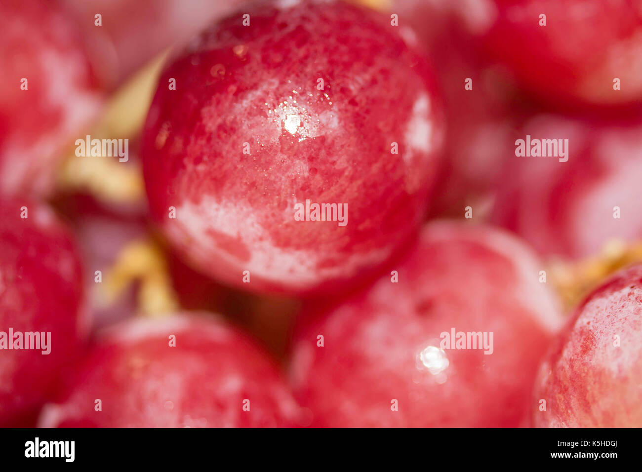 Red grapes fruit hi-res stock photography and images - Alamy