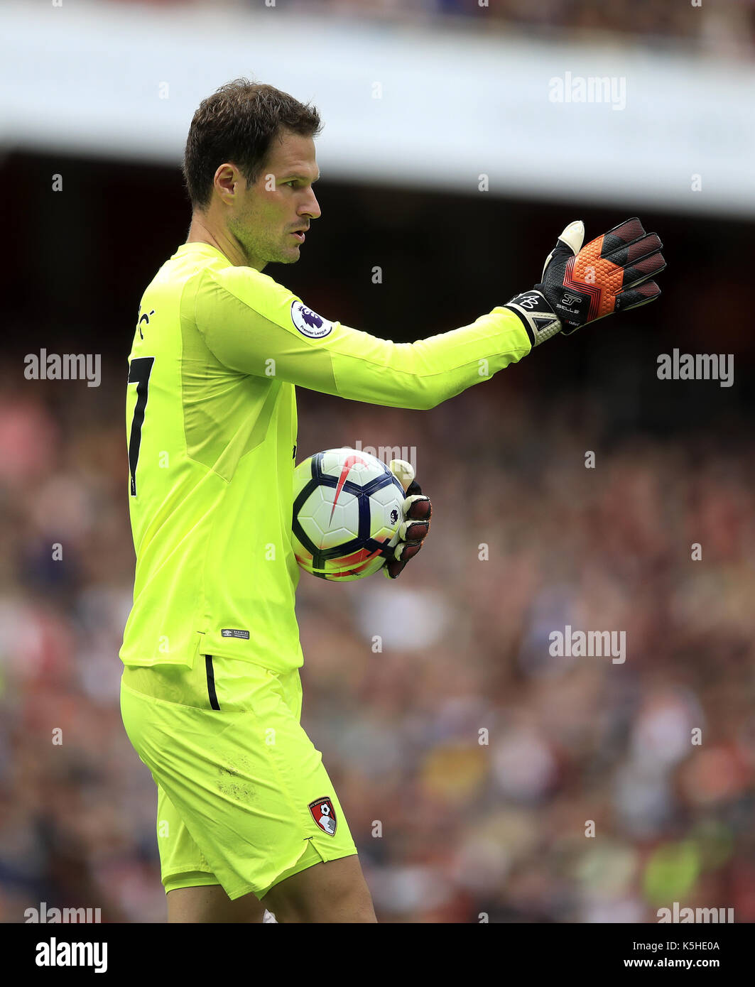 AFC Bournemouth goalkeeper Asmir Begovic during the Premier League ...