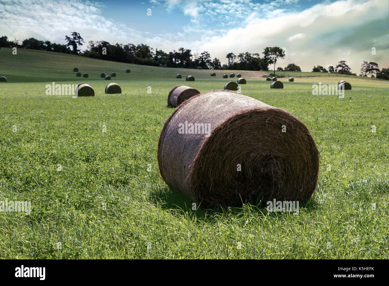Bails of feed hi-res stock photography and images - Alamy