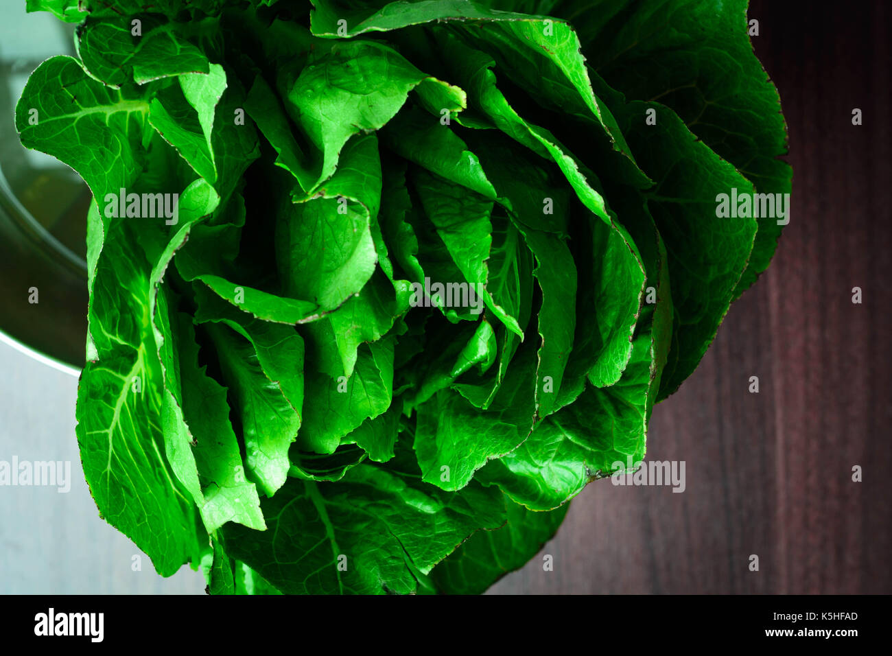 Chinese cabbage on the table with drops of water Stock Photo - Alamy