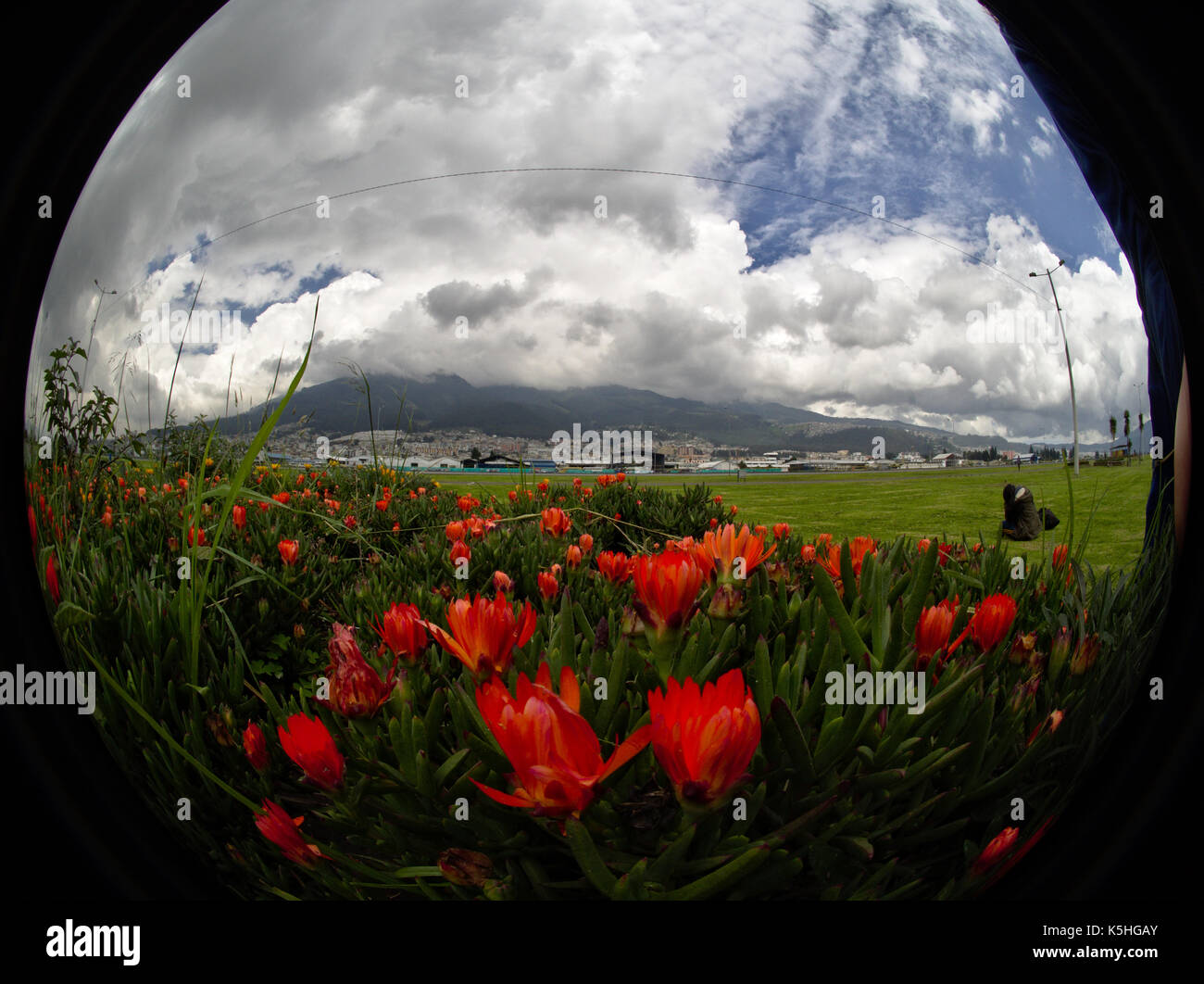 Parque bicentenario quito hi-res stock photography and images - Alamy