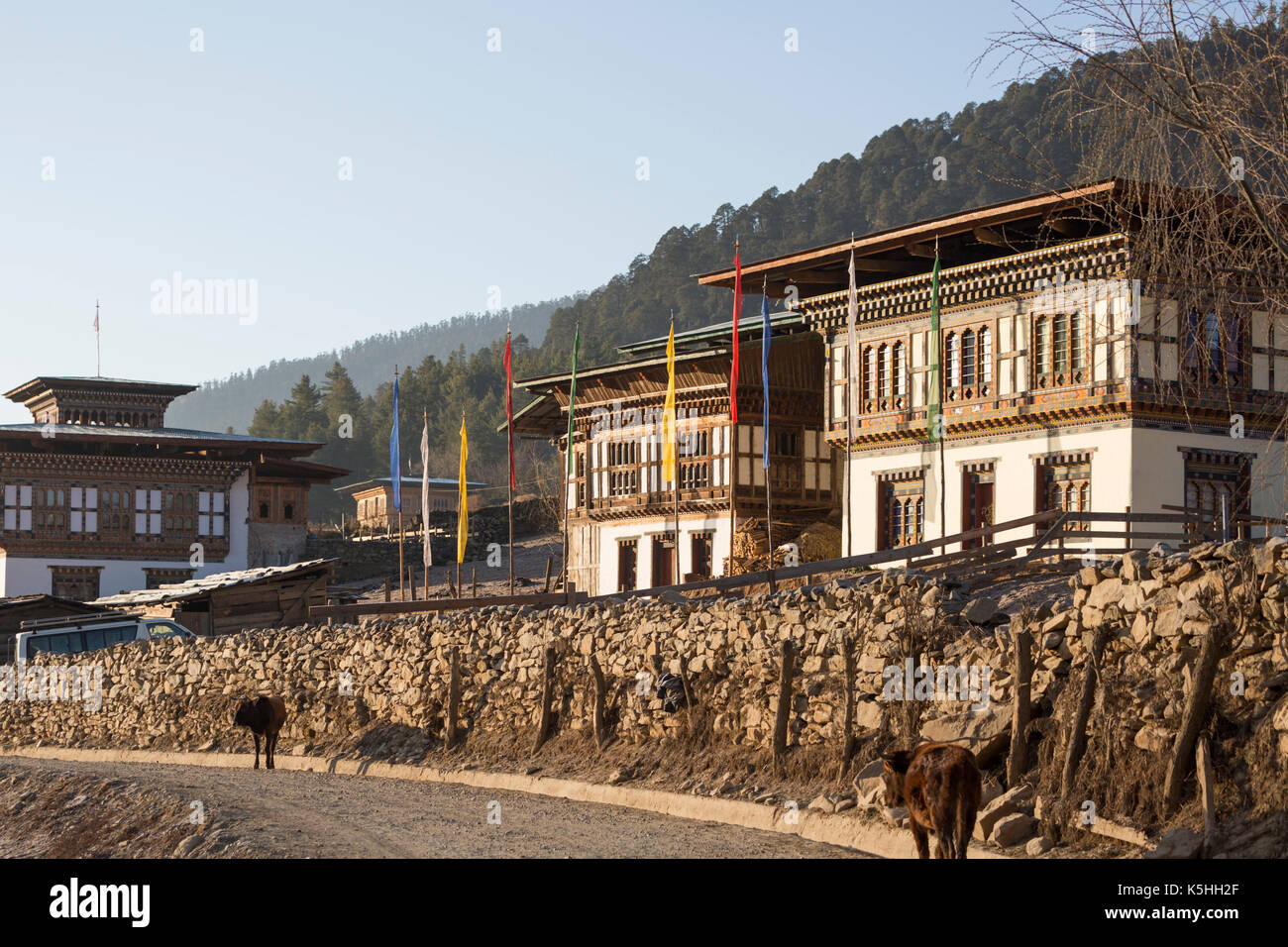 Farmhouse in Phobjikha Valley, Western Bhutan Stock Photo - Alamy