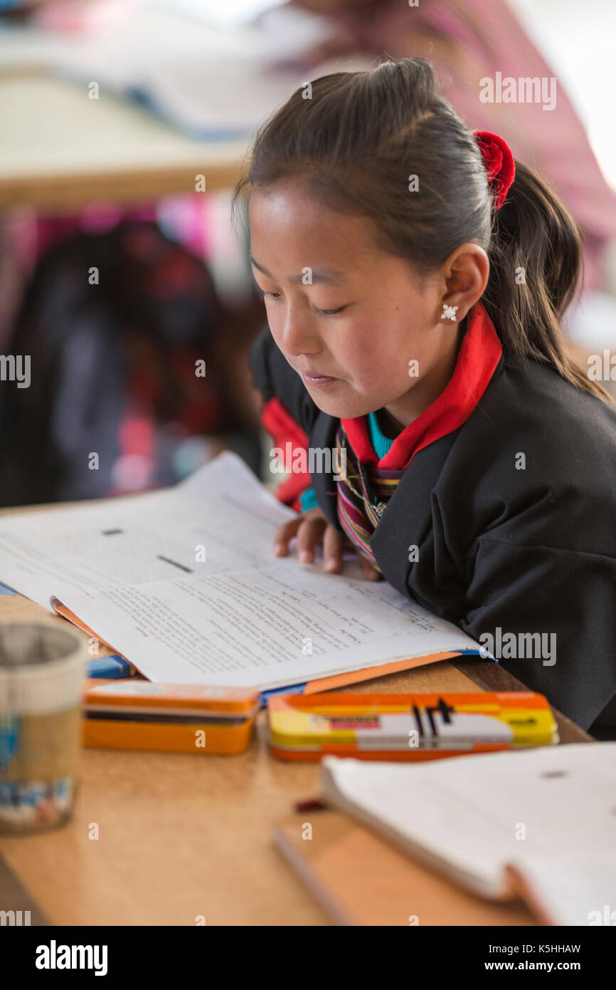 Students in math class in at Gangrithang Primary School, Jakar, Central ...