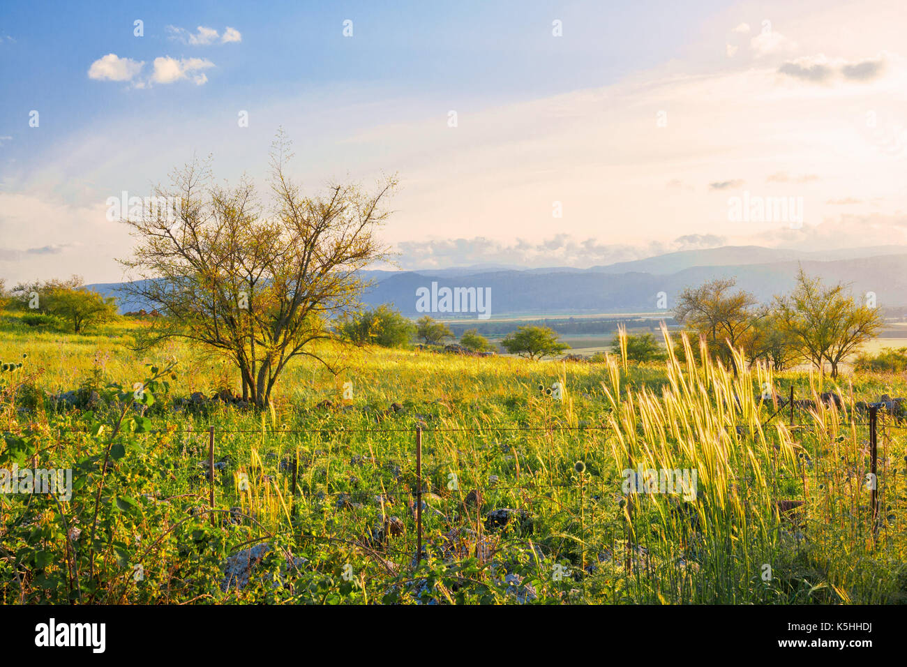 Colors of the fading day Stock Photo - Alamy