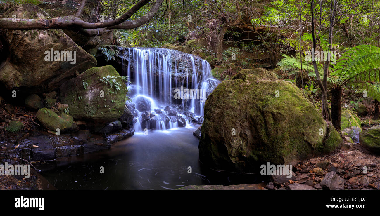 Weeping Rock Falls, Blue Mountains National Park Stock Photo - Alamy